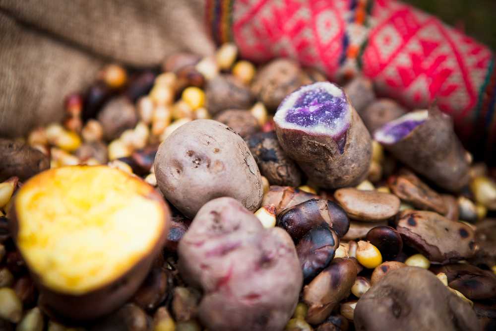 The peruvian gastronomy: a diversity of flavors with many years of ...